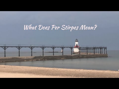 What Does Per Stirpes Mean in Your Will?