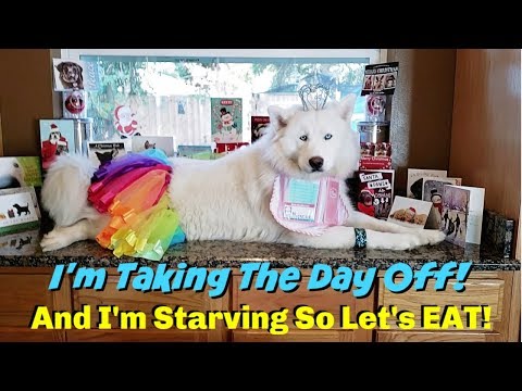 Breakfast With The WaterWolves | Surprise Breakfast | PoGo Portal