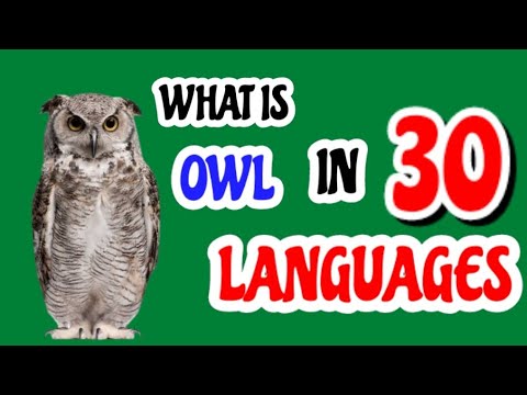 How to pronounce OWL in 30 Different Languages, Spanish, French, German, Latin, Japanese, Hindi, etc