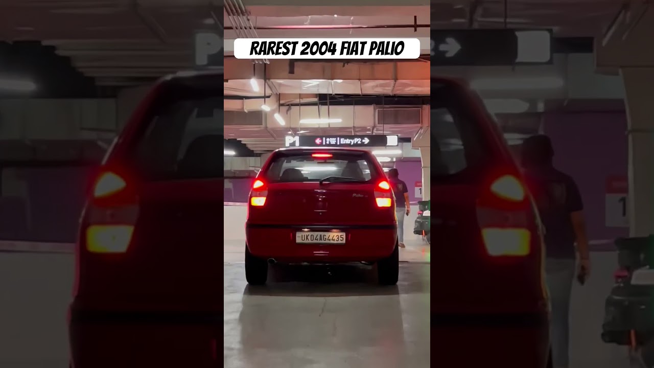 Rarest fiat palio #shorts #short #cars #fiat #rare