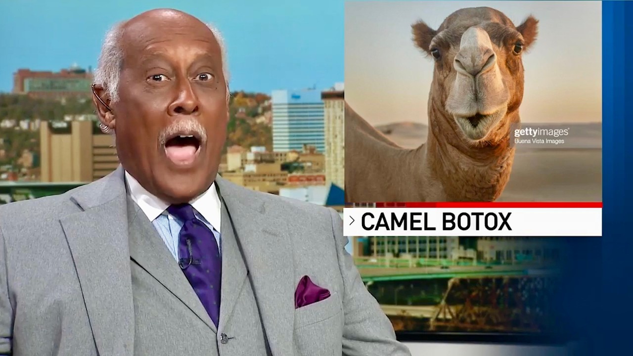 Best News Bloopers 2021