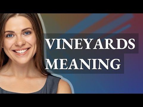 Vineyards | meaning of Vineyards