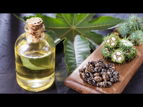 The Spiritual Power of Castor Oil