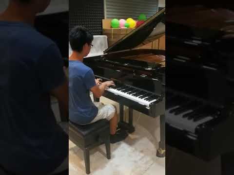 Schönbrunn Grand Piano-Germany piano
