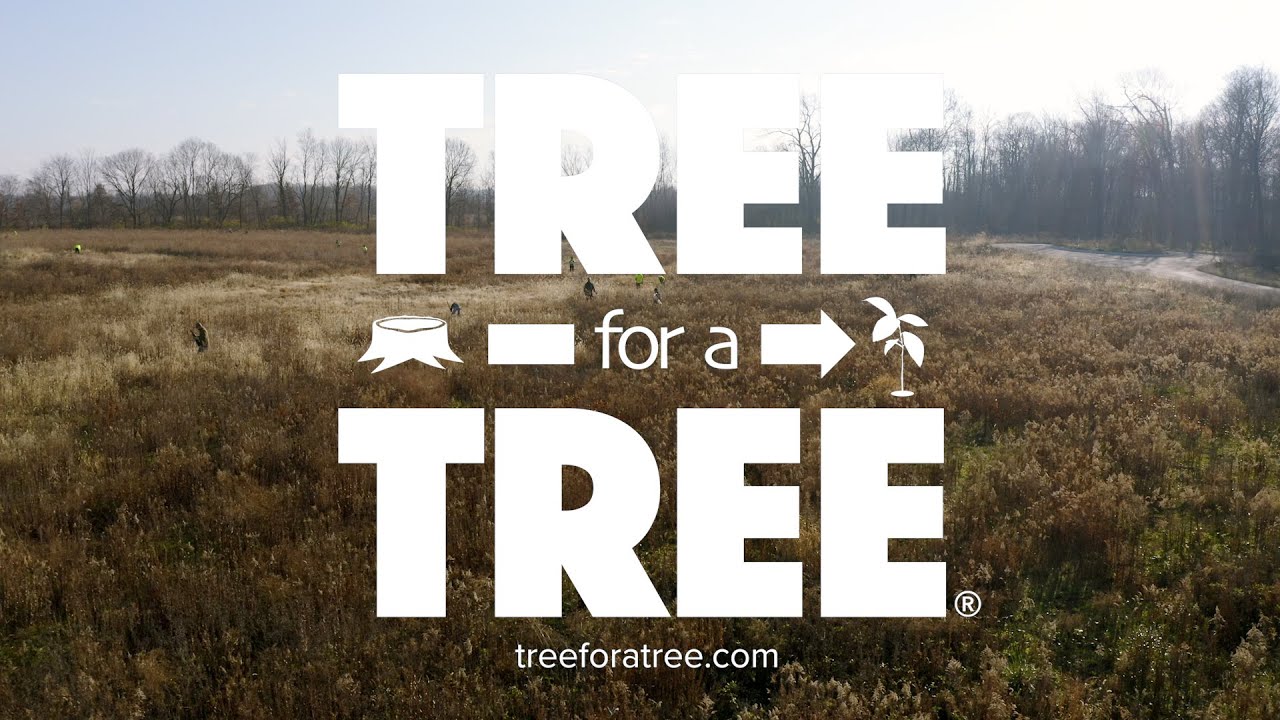 TREE FOR A TREE® I Russell Tree Experts