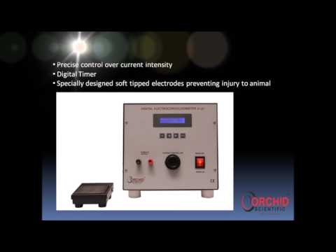 Electro Convulsometer at Best Price in India