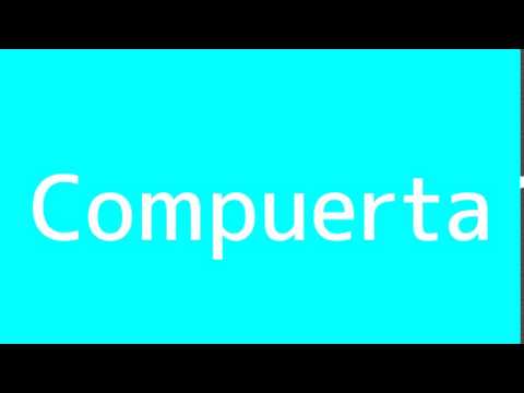 How to say Gate in Spanish