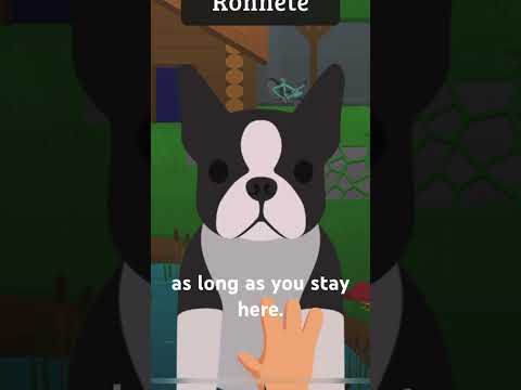 Sneaky Sasquatch dog #sneakysasquatch #dog #applearcade