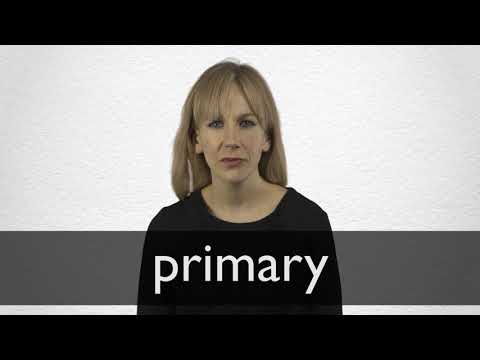 How to pronounce PRIMARY in British English