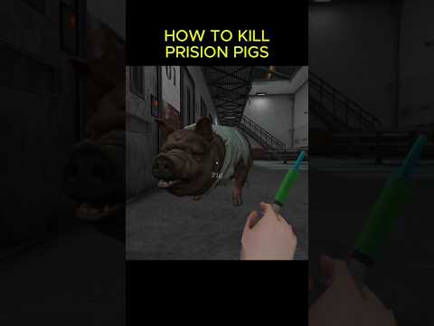 HOW TO KILL MR MEAT PRISION PIGS