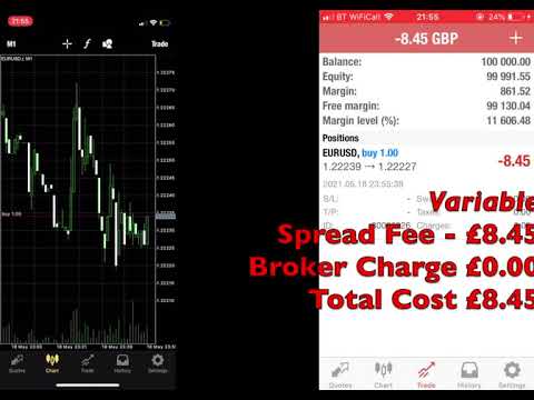 Forex Raw Account Vs Standard