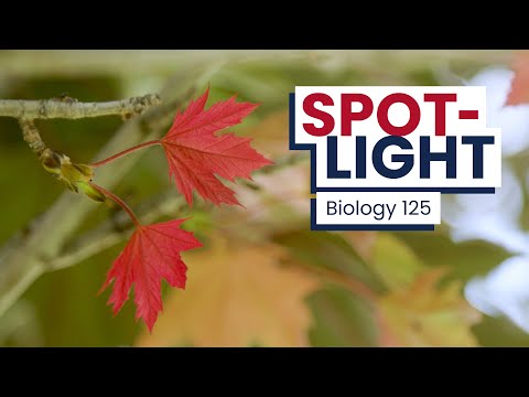 Fresno State Course Spotlight | BIO125 - Plant Taxonomy
