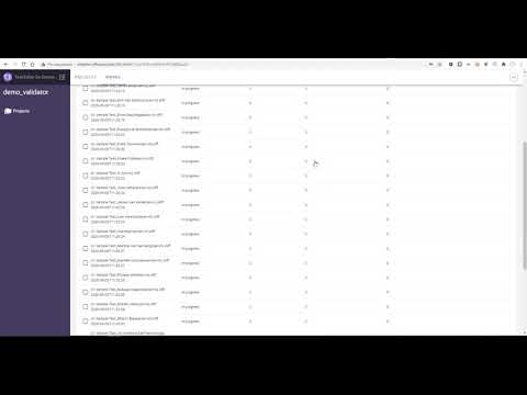Validation tool how to use by validator