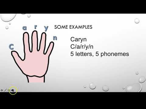 Components of Language