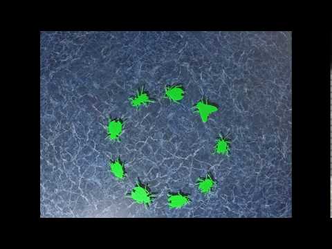 Jumping Bugs by Enic - Thingiverse