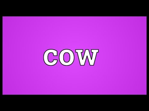 Cow Meaning