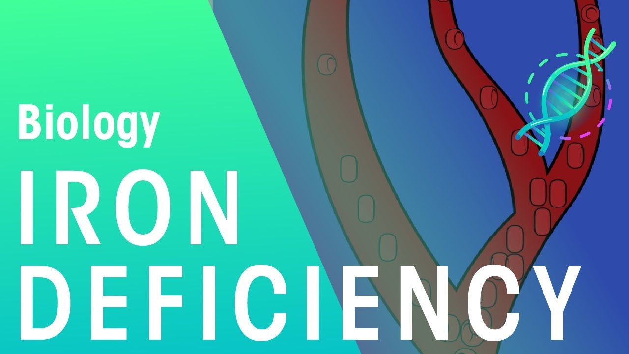 Iron Deficiency | Cells | Biology | FuseSchool