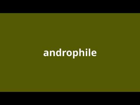 what is the meaning of androphile.