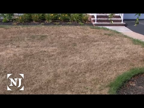 Parts of 7 NJ counties now in severe drought, feds say