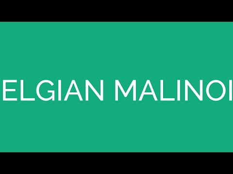 How To Pronounce Belgian Malinois