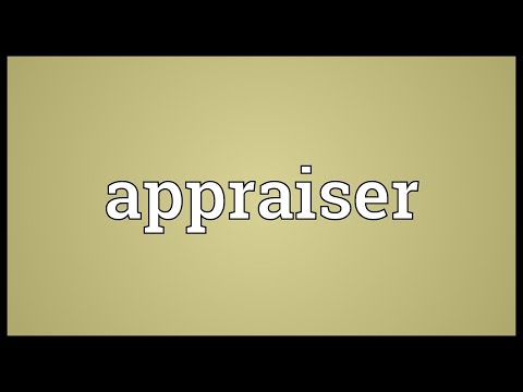 Appraiser Meaning