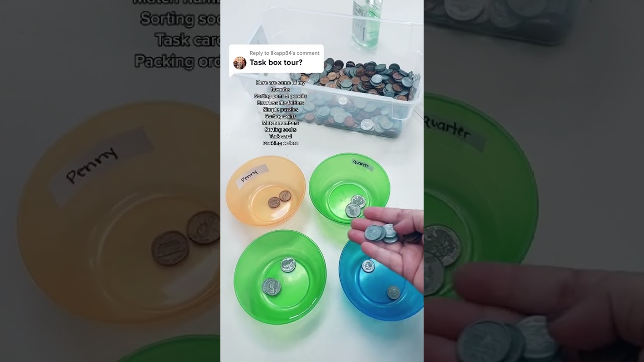 Special Education Task Boxes