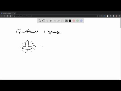 What is meant by an unconditioned stimulus (UCS) and an unconditioned response (UCR)? In Pavlov's e…