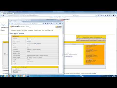 Webinar: Promoter analysis with Genomatix MatInspector