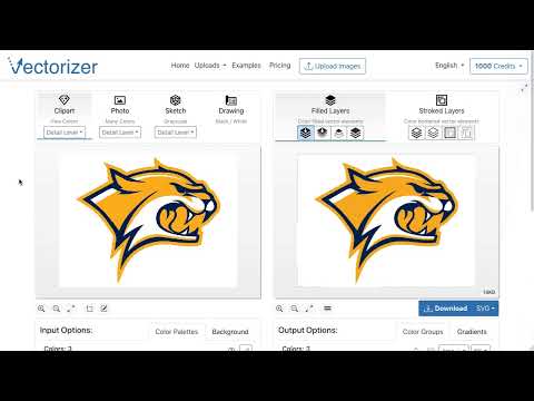 Quick Start Tutorial - vectorizer.io