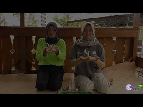 Desa Wisata Kreatif Terong