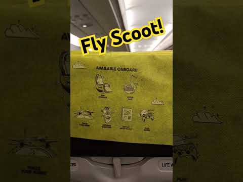 1st Time with SCOOT #travel #scoot #airline #adventure