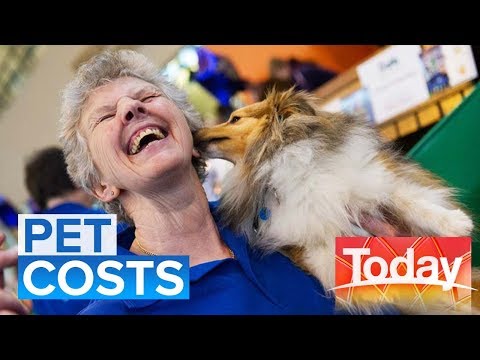 The real cost of owning a pet | Today Show Australia