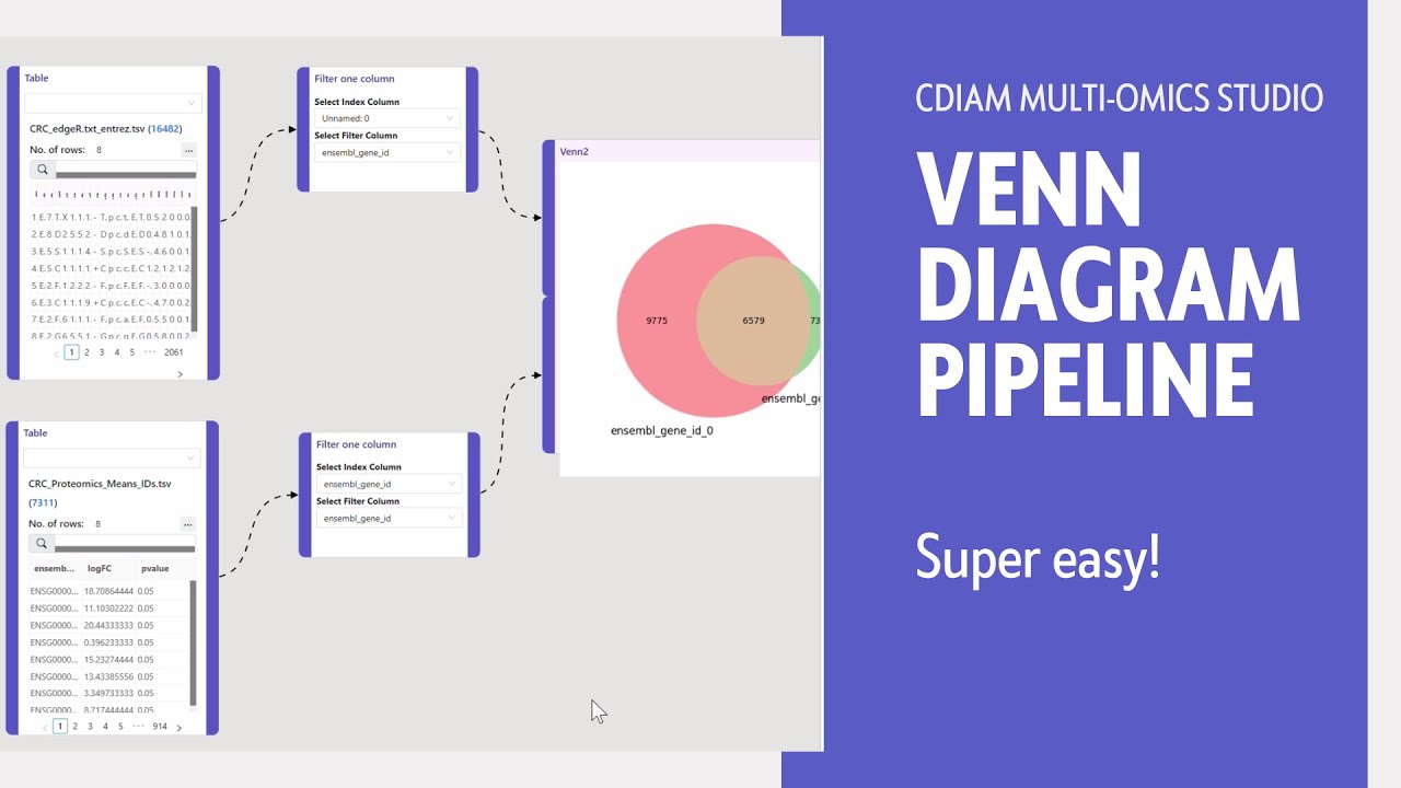 Pipeline Setup | How To Plot A Proper Venn Diagram | CDIAM Multi-Omics Studio