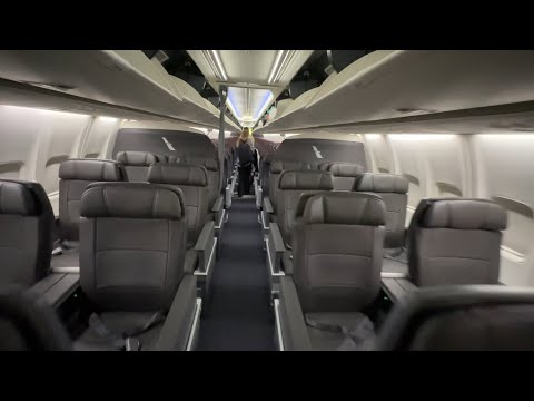 American Airlines Domestic First Class Experience Boeing 737-800 | DFW to JFK