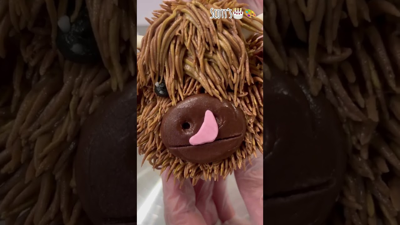 Highland cow cupcakes