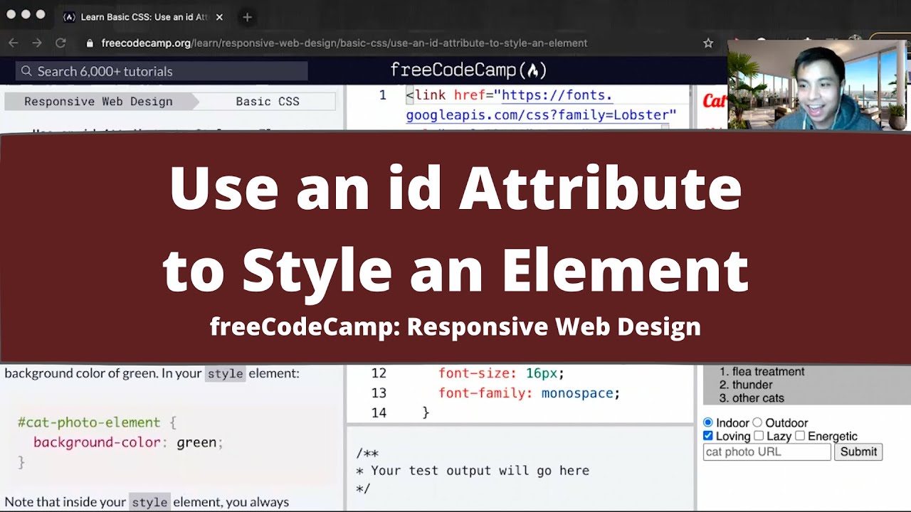 Use an id Attribute to Style an Element (Basic CSS) freeCodeCamp tutorial