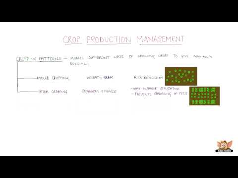 Crop Production Management - Cropping Patterns - Agriculture Video ...