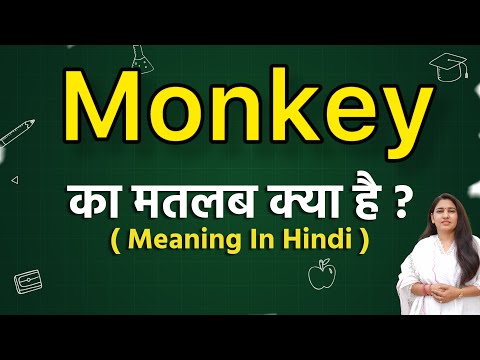Monkey meaning in hindi | Monkey ka matlab kya hota hai | Word meaning