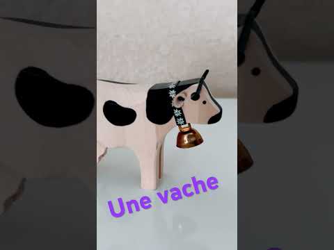 Mot du jour - French Word of the Day - Cow