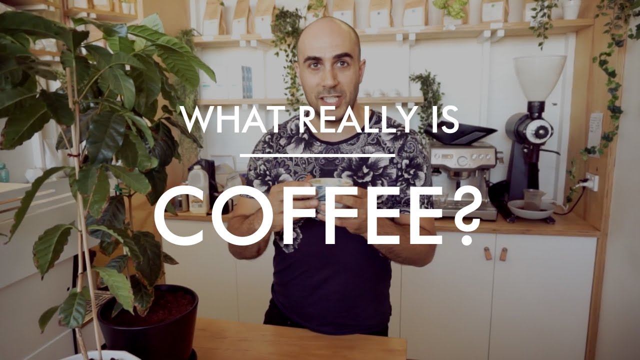 What is a coffee bean and where does it grow?
