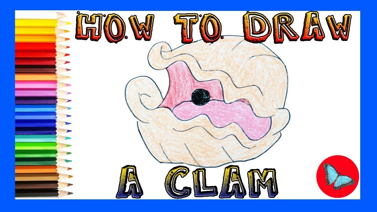 How To Draw A  Clam|Coloring and Drawing for Kids