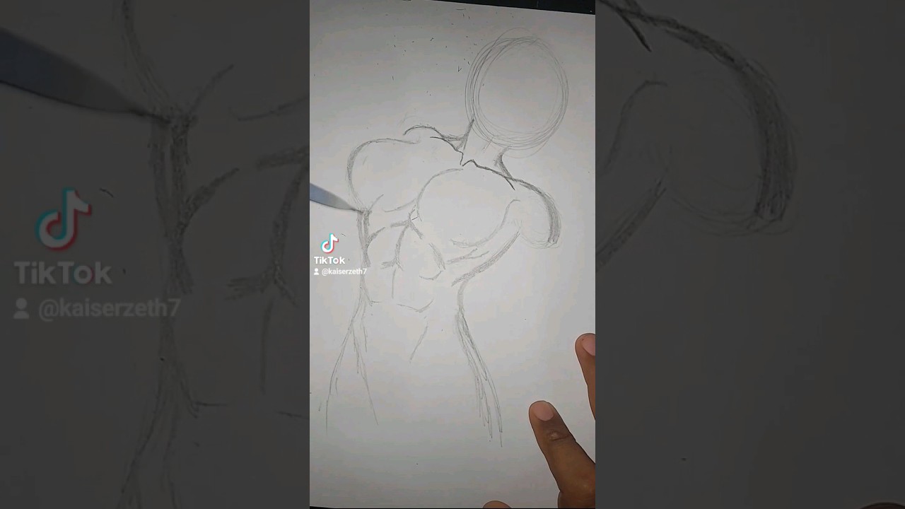 Drawing muscle female body
