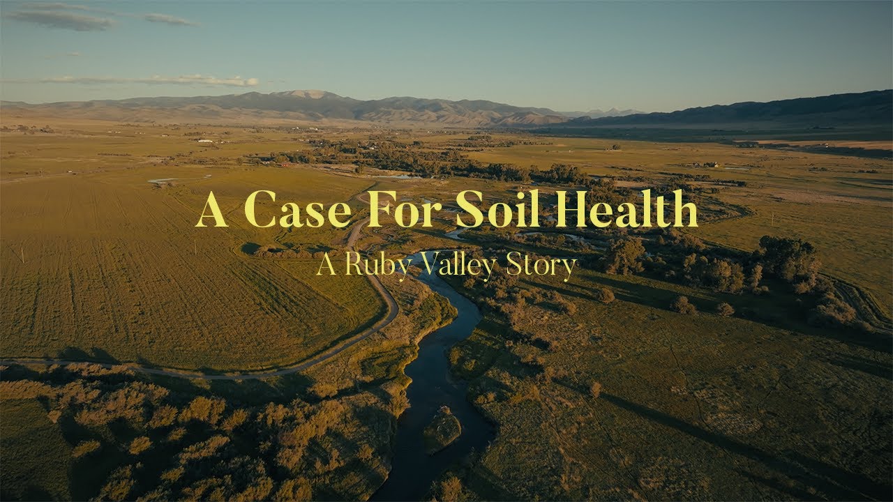 RVSA soil 1 minute