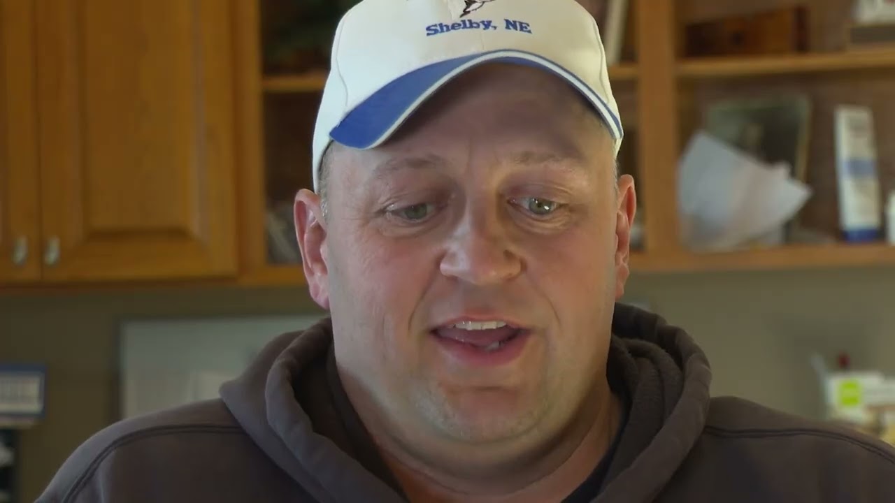 Enogen Feed Hybrids | Syngenta US