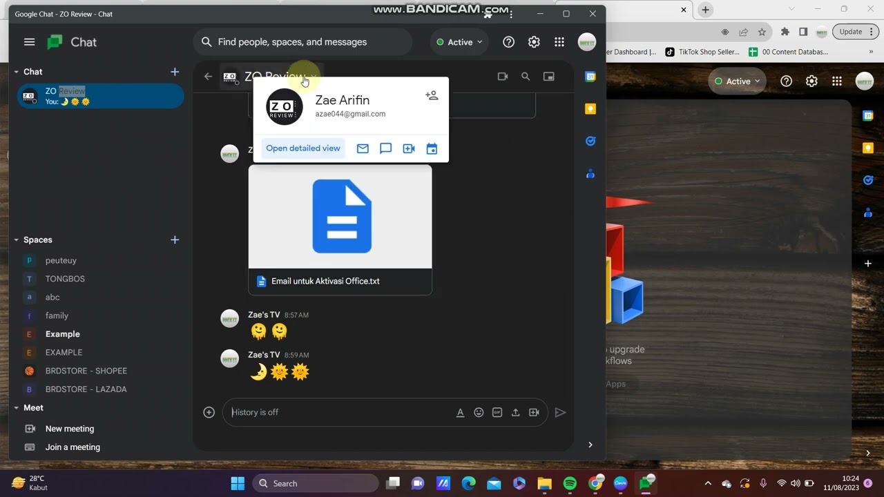 How to Use the Workday App in Google Chat: PC Guide