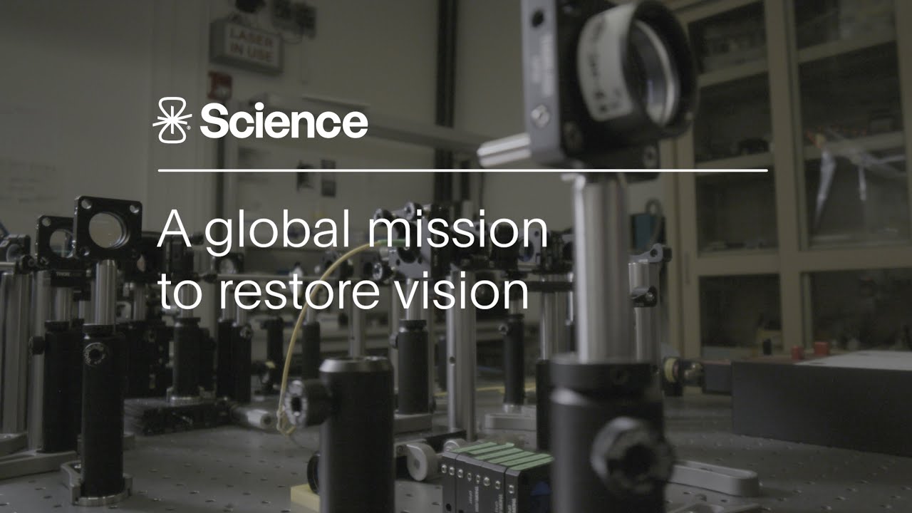 A global mission to restore vision (abridged) | PRIMA by Science