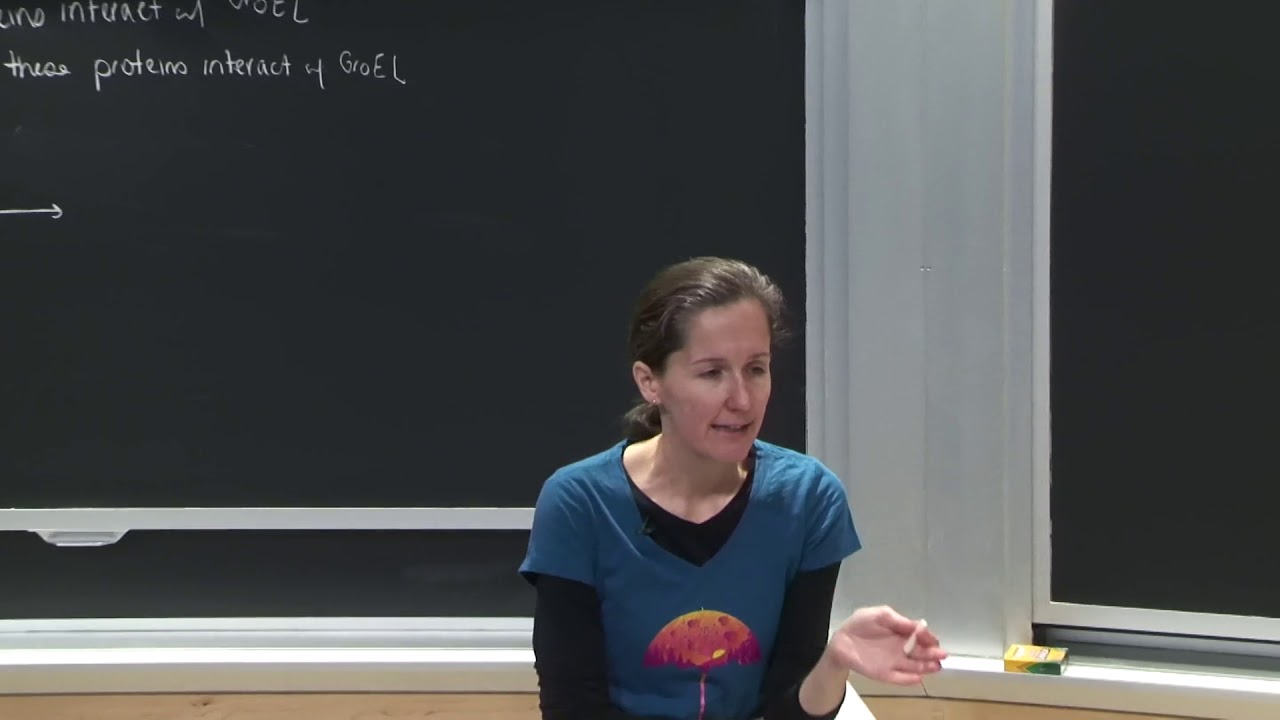 10. Protein Folding 3