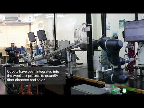 New Zealand Wool Testing: The Rise of Cobots