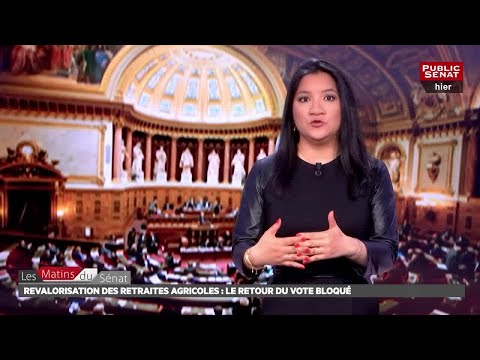 Revalorisation des retraites agricoles : le retour du vote bloqué - Les matins du Sénat (17/05/2018)