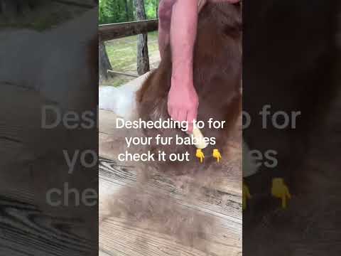 @SleekEZ USA | Dog Grooming Tool | 2025 👉link in description